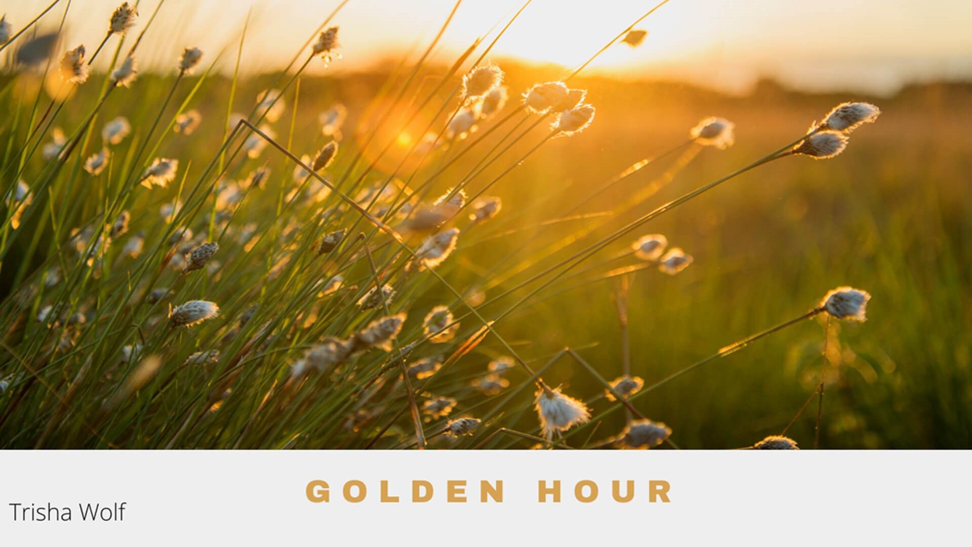 Advanced - Company Class